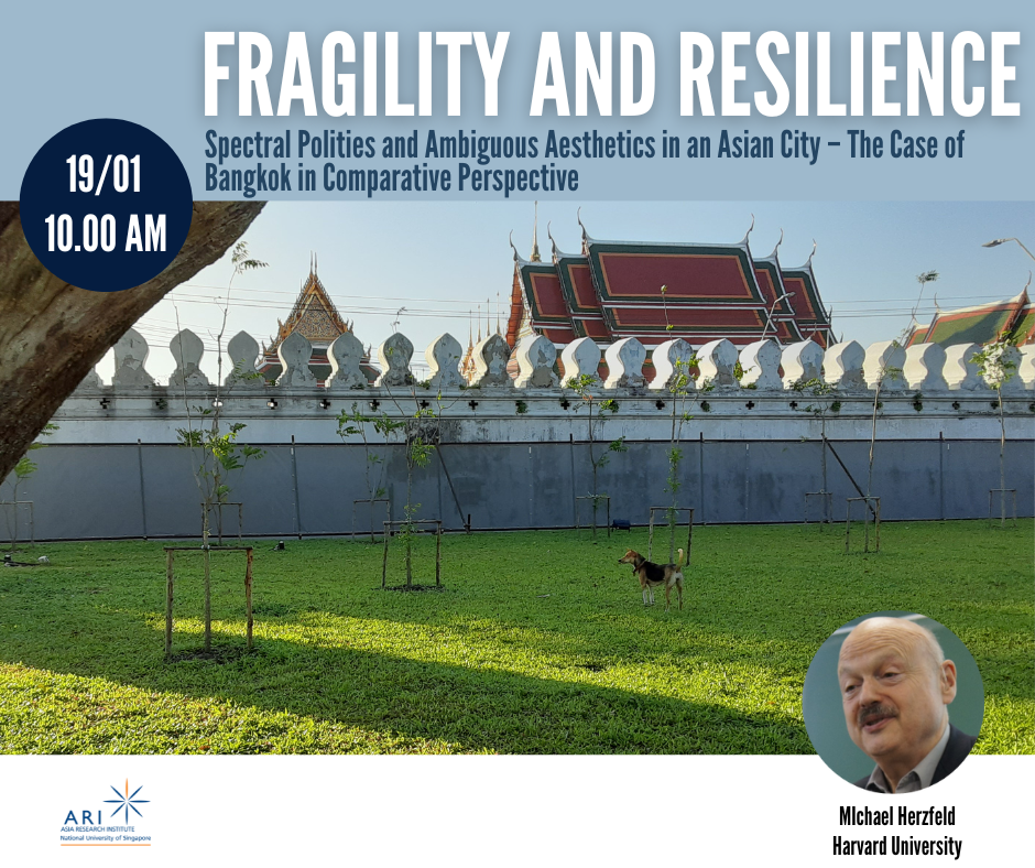 Fragility and Resilience: Spectral Polities and Ambiguous Aesthetics in ...
