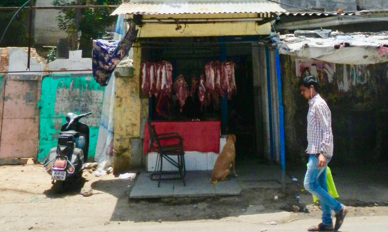 Vegetarianism, Meat, and Modernity in India » Asia Research Institute, NUS