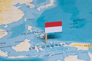 Managing expectations: Indonesia navigating its international roles ...